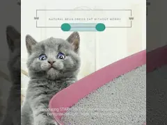 Efficient Deodorization Cat Hydrosoluble Pet Supplies Bentonite Cat Litter Granular Supplier