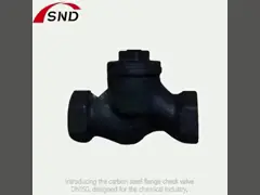 Carbon Steel Flange Check Valve DN150 For Chemical Industry