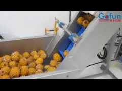 Linea di trasformazione concentrata 20T/H del succo di frutta dell'ananas