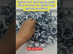 China Black Finish Split Style Stainless Steel Dacromet Spring Washers with Split Design for sale