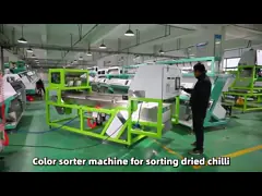 China Wenyao Belt Type Camera Color Separator Walnut Processing Machine Nut Color Sorting Machine for sale