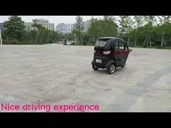 China Handle Steering Closed Loading 250Kg Passenger Carrying Tricycle for sale