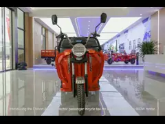 Brand New 2 Seater Electric Passenger Tricycle Taxi for Adults