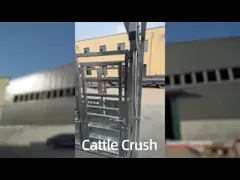 Cina Apparecchiature per la manipolazione del bestiame a scala galvanizzata DIP a caldo in vendita