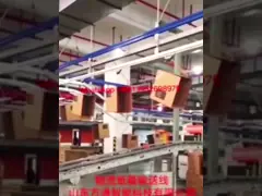 포장 하우스를 위한 카튼 포장 시스템