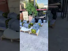 Unveiling the Core Power of Hitachi EX5500: A Complete Analysis of Swing Motor and Hydraulic Pump