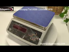 China Portable Balanza Digital Weighing Scales D11 Series Basculas for sale