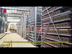Carro de secado en el proyecto de Brictec