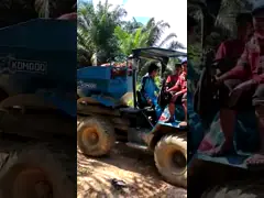 China Self Loading Mini Dumper 2 Ton 280mm For Pineapple Plantations for sale