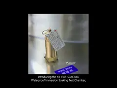 50m 100L IPX8 Waterproof Test Chamber Factory Made with Pressure Protection