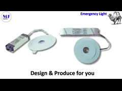 China Emergency LED Down Light Ultra-Bright Water-Resistant DIP Switch Control Custom Logo Options for Versatile Installation for sale