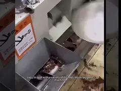 China High Efficiency Screw Cold Press Oil Machine For Pressing Various Oilseeds And Nuts for sale