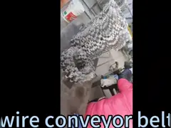 Cina Flat Wire Chain Ss Wire Mesh Conveyor Belt per raffreddamento e pastorizzazione in vendita