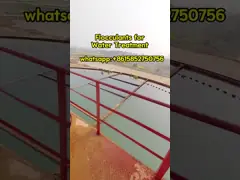 Polyacrylamide Polymer Flocculant for Water Treatment