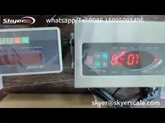 Weighing Indicator Electronic Weight  A12ESS  inox Indicator for Platform Scale and Floor Scale