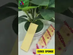 Sponge