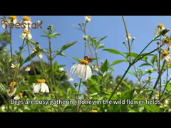 Bee  Products Cream Organic Honey Bee Milk Fresh Orgainc  Royal Jelly