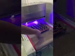 In-vehicle Camera uv adhesive curing application