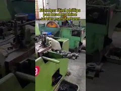 Vattone a scatto automatico per la testa di Phillips per la plactis