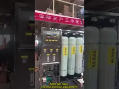 500L per hour reverse osmosis equipment export delivery