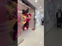 Lion Dance 2
