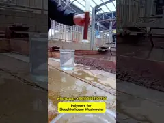 How to treat Slaughterhouse Wastewater?