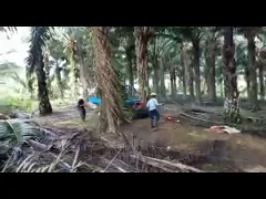 China 2150mm Wheelbase Palm Oil Tractor with Agricultural Tire 11L Fuel Tank Capacity for sale