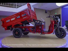China Tricycle Cargo Bike Adults Motorized Various Cargo Tricycle for sale