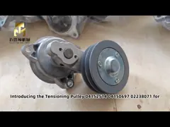 04152514 Tensioning Pulley