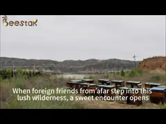 Beestar Fresh Natural Sidr Honey Without Any Additive Natural Bee Honey Raw Honey For Health Care