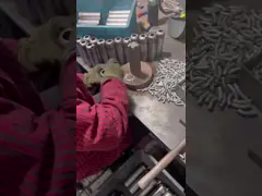 China Customizable Shell Type Milking Machine Teat Cup Replacement Parts with 1-Year Warranty and Mirror Polish Finish for sale