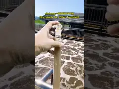 Polyacrylamide Polymer Flocculation Experientment
