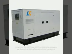 China 50Hz Frequency Gas Generator Sets Cummins  250kVA Gas Engine Generator Set for sale