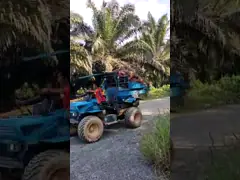 China 14HP Palm Oil Tractor 4 Wheel Drive Tractor For Oil Palm Garden for sale