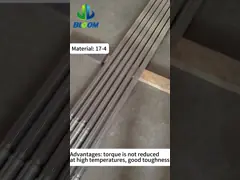 China High Torque Plastic Extruder Screw Shaft for PEEK PVDF Production - 12mm to 350mm Sizes with 10-15 Torque Rating for sale