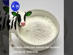 China Acid Digestive 95% Crude Protein Amino Acid Feed Additives Powder For Fish Shrimp Crab Shellfish for sale