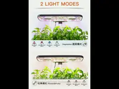 中国 中規模の水力発電所設備,先進的なLED照明システムを持つ水力栽培室内プランター 販売のため