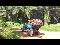 China Hydraulic System Palm Oil Tractor Machine For Efficient Palm Oil Extraction for sale