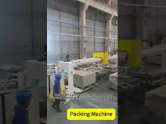 China SPC Paper Carton Packaging Machine with 8-10 Bags/Min Capacity and 0.6-0.8MPa Air Pressure for sale