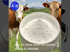 China Amino Acid Crude Protein 90% Powder Wiht High Acid Soluble Protein 75% As Raw Material For Chunk Pet Food Production for sale