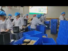 Full Structure Takes Of Stainless 304 Food Metal Detector With Digital Signal Processing And OEM