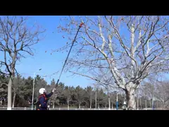 electric telescopic tree pruner