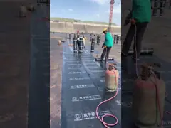 Bituminous Waterproof Membrane video