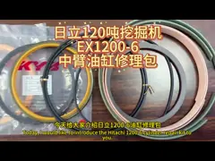 Hitachi EX1200-6 Hydraulic Cylinder Seal Kit 120 ton machine big excavator