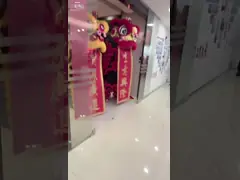 Lion Dance 1