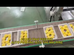automatic tray sealing machine 4R with vacuum gas flushing