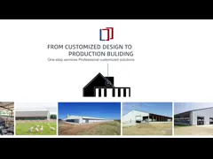 China Prefab Automatic Steel Structure Chicken House / Chicken Coop Steel Frame House for sale
