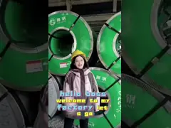 Company Introduction