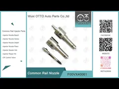 China Diesel Piezo Injector Nozzle F00vx40061, for Injector 0445116017/0445116018/0986435420, Hyundai / KIA for sale
