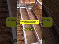 Bluwat Polymers Polyacrylamide used in sludge dewatering